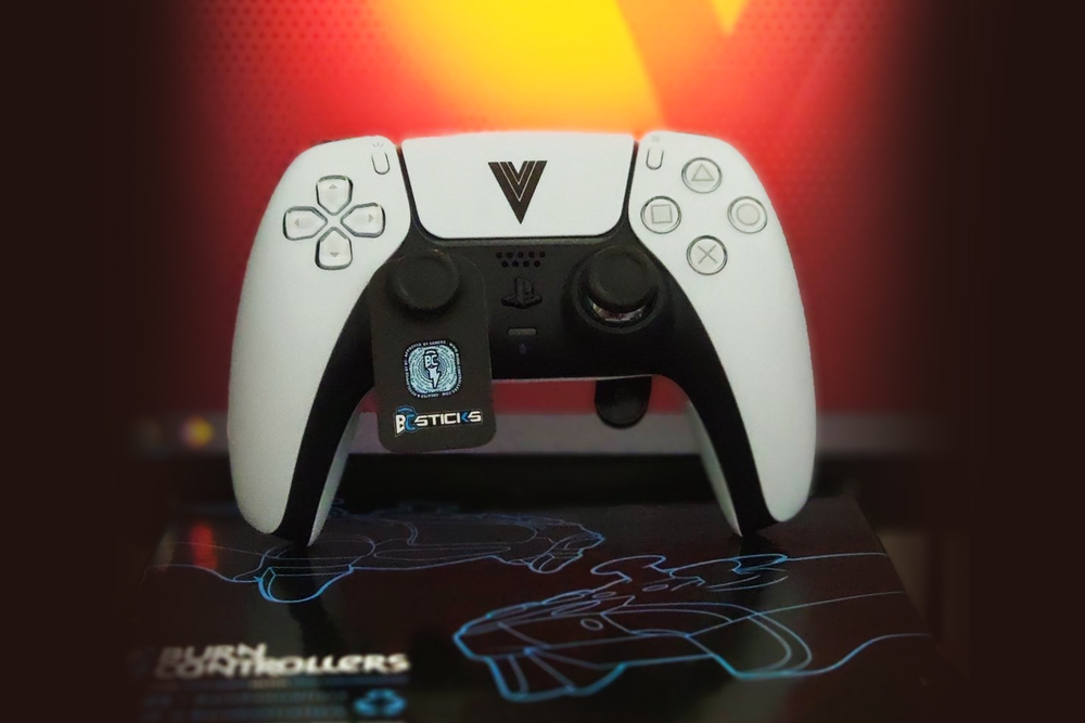 PS5 Padlles Controller | Basic | Burn Controllers