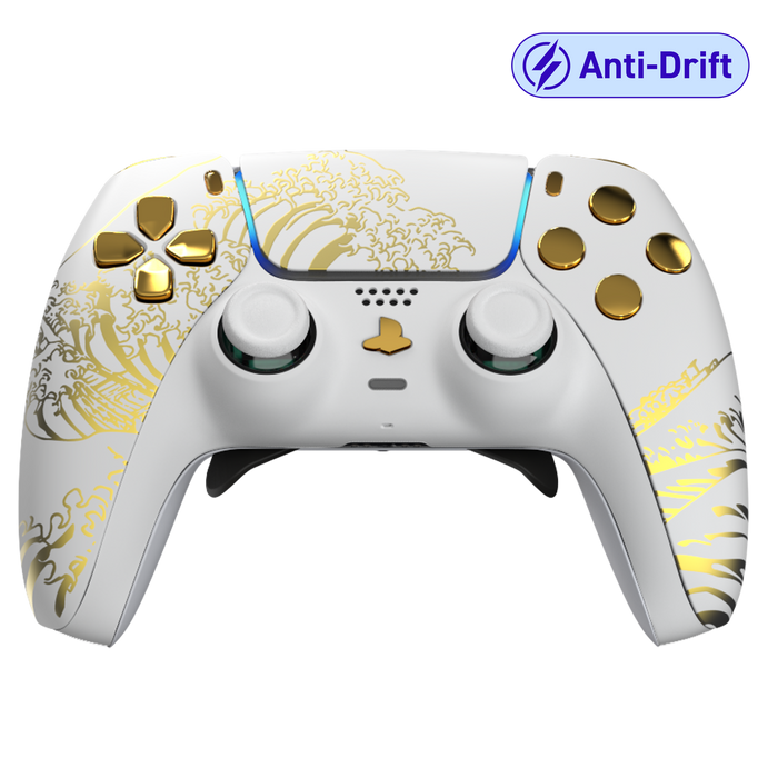 PS5 Paddles Controller | Pro Gamer | Burn Controllers