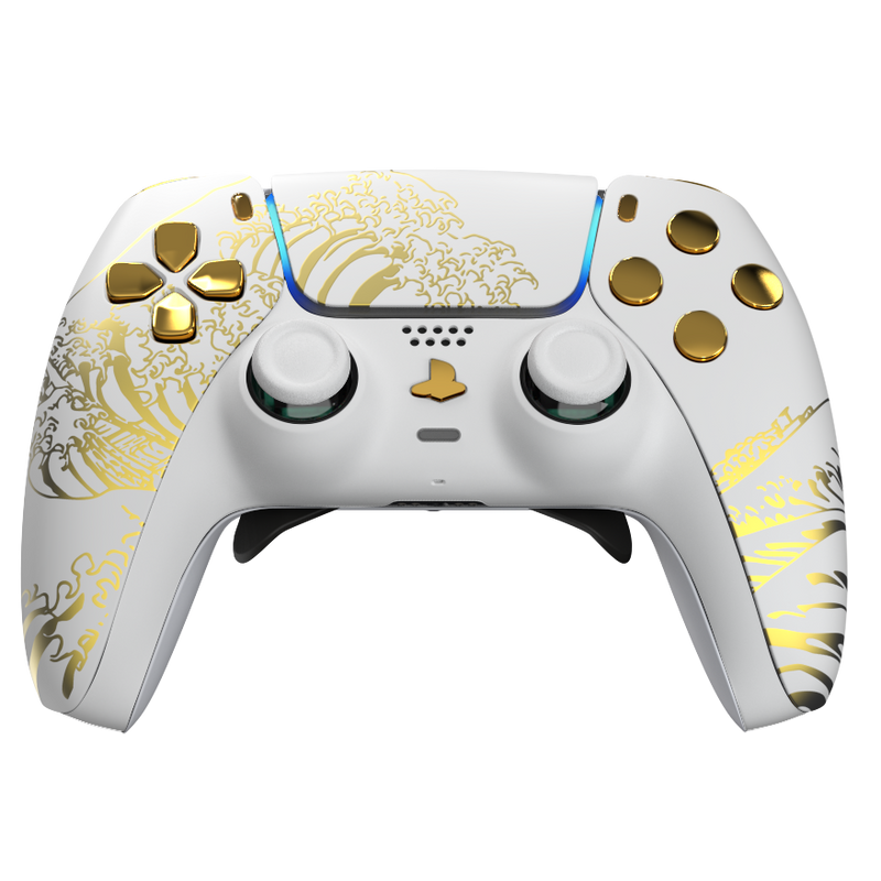 PS5 Paddles Controller | Pro Gamer | Burn Controllers